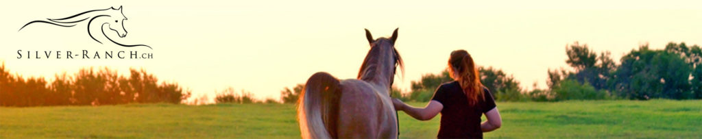 Aktuell – Silver-Ranch